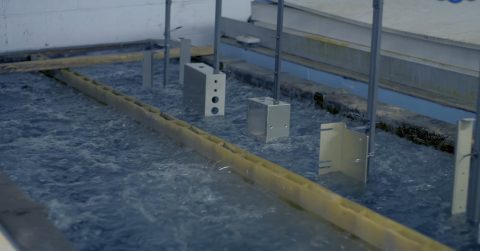 Anodized Aluminum: Anodizing Process, Types, and Uses